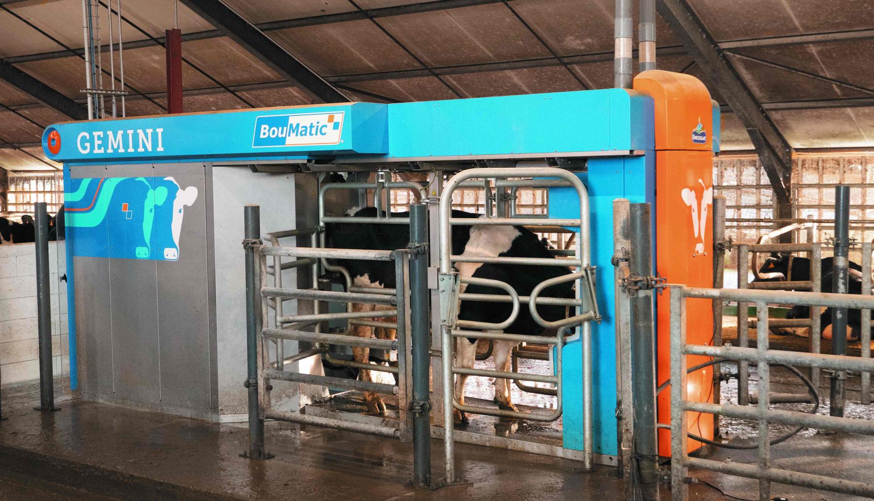 BouMatic uuenduslikud lüpsirobotid aitavad piimafarmidel oma ...